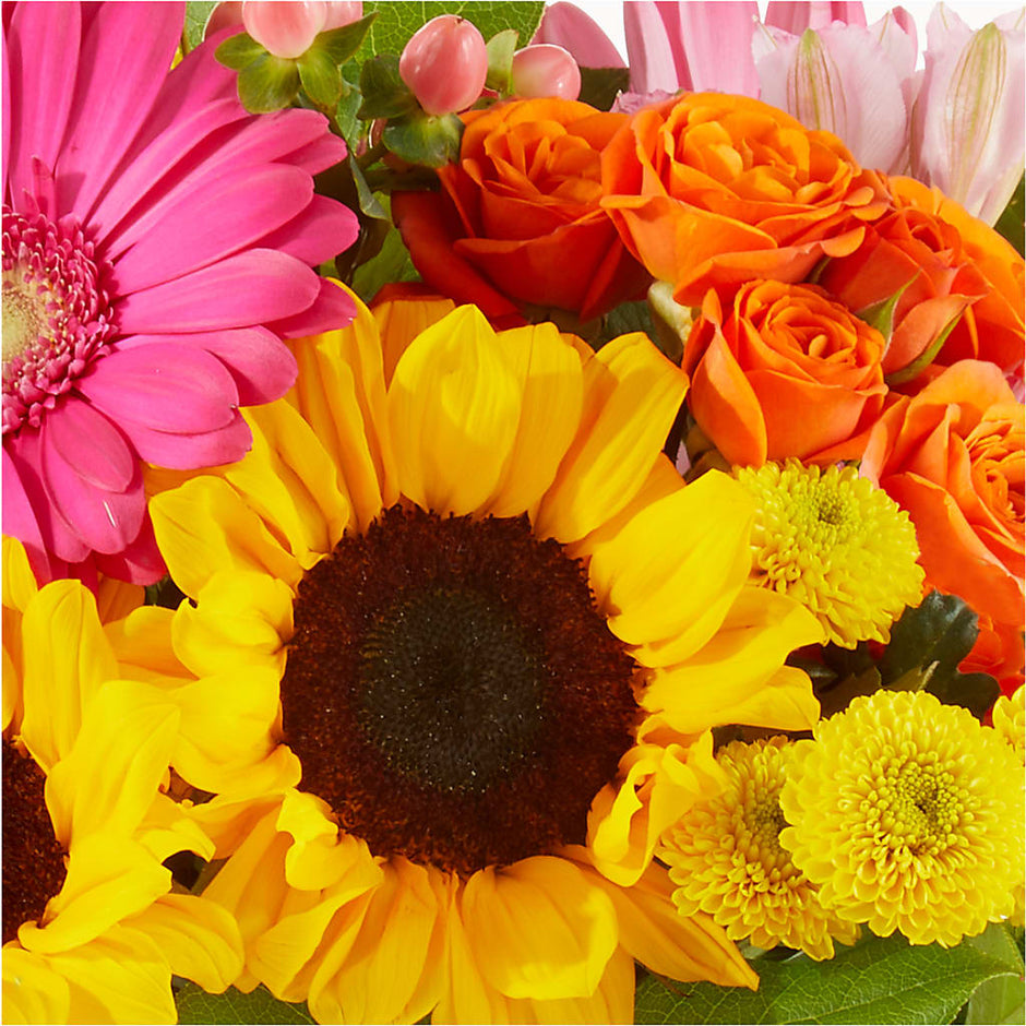Fleuriste Sainte-julie | Livraison de fleurs le jour même par Vincent ...